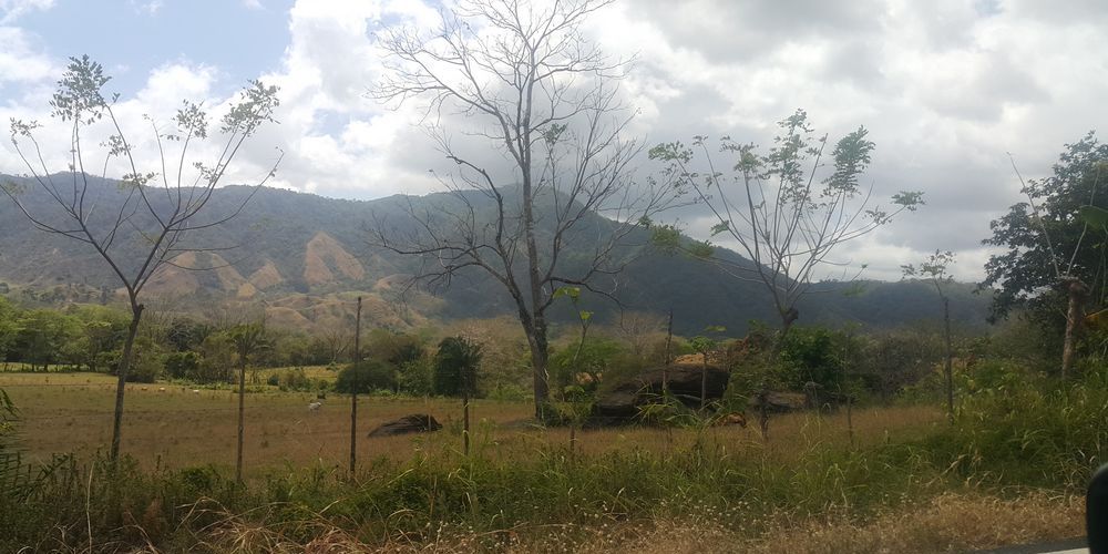 Tonosí – Municipio de Tonosí